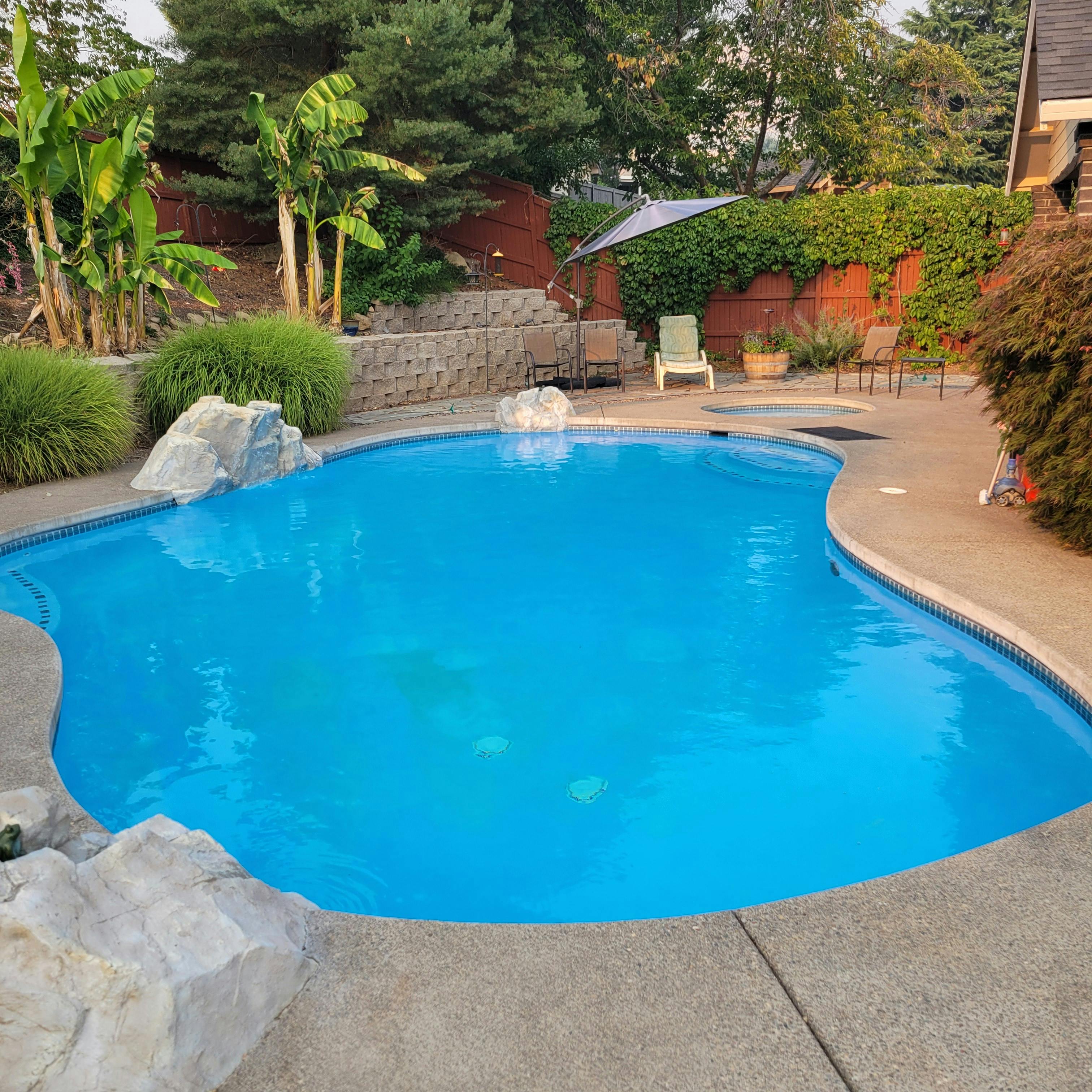 Relaxing Tropical Look And Feel - Private Pool in Medford - Swimply